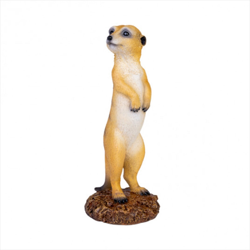 Meerkat – Discount Salon Supplies